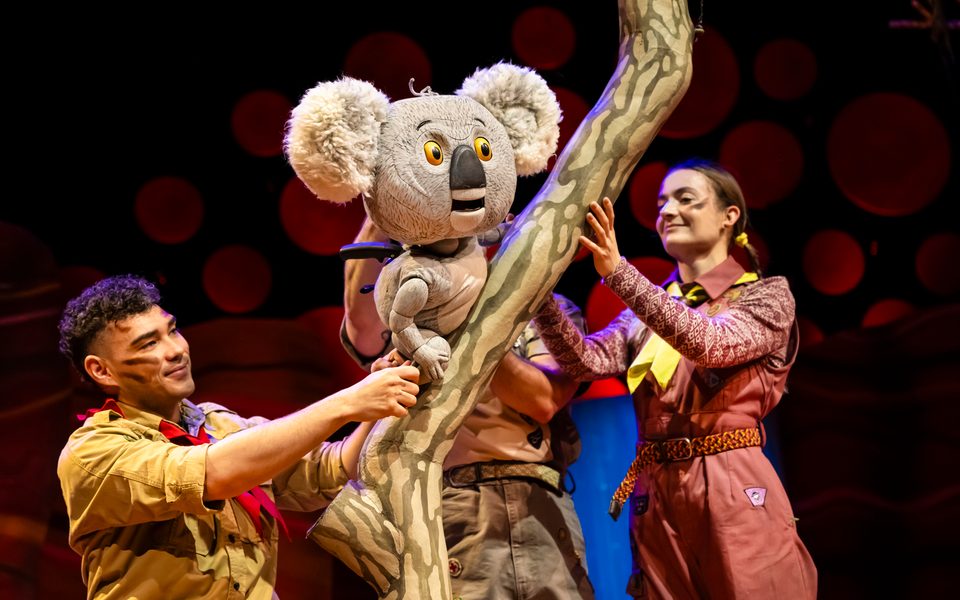 The Koala Who Could | Northern Stage