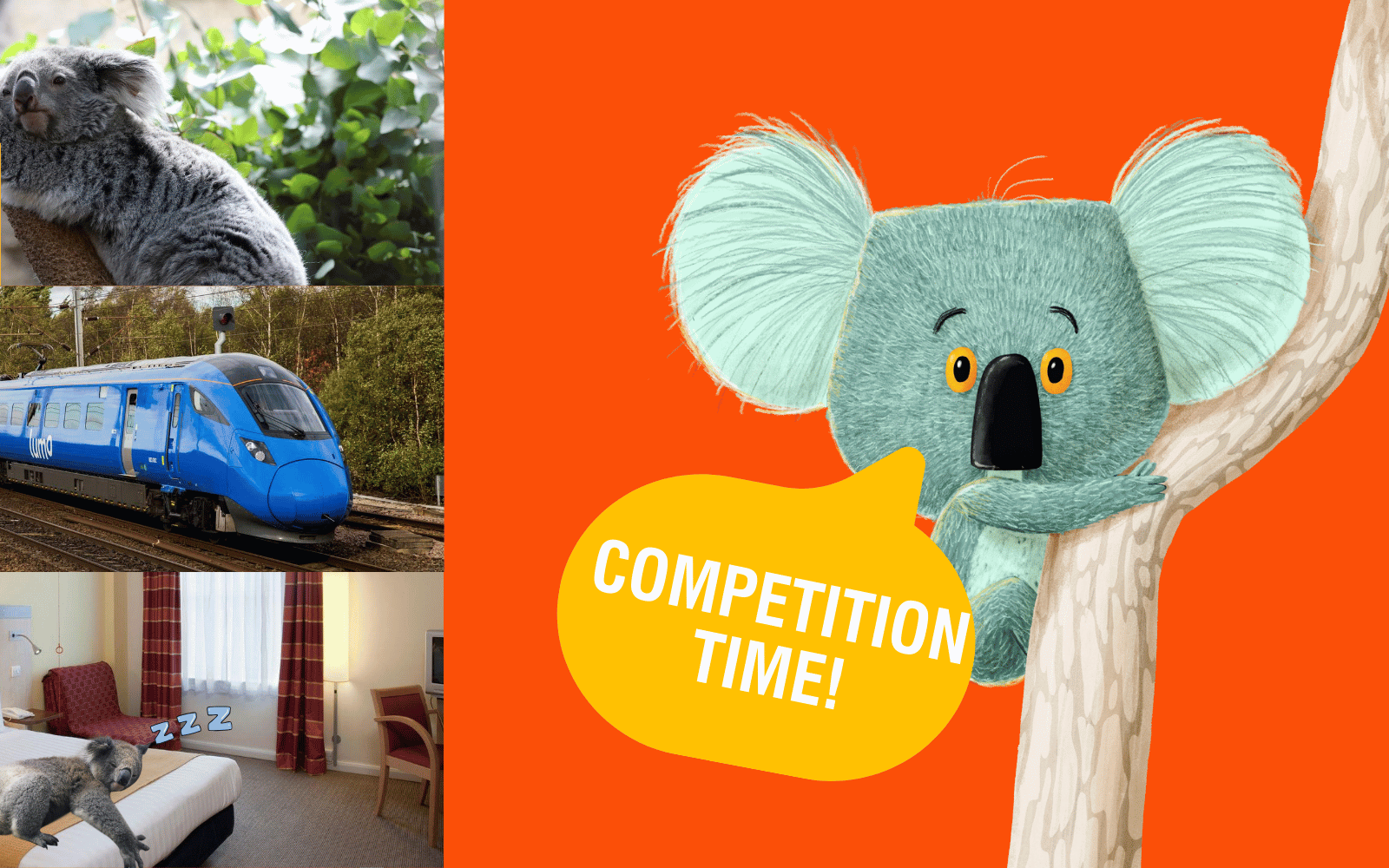 The Koala Who Could | Northern Stage